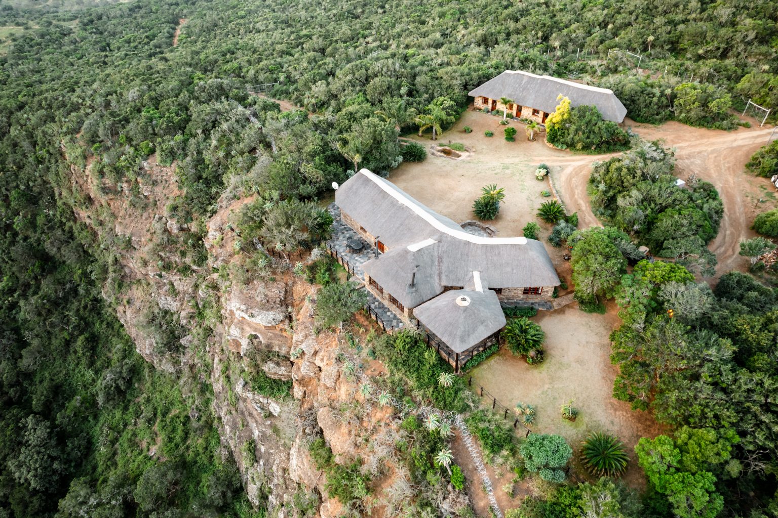 Hunting in South Africa - Home - Olivewoods Game Farm